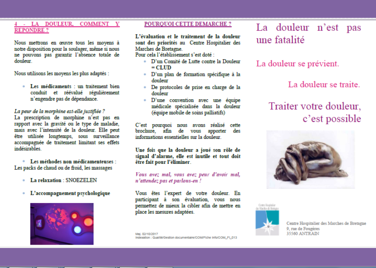 LUTTE CONTRE LA DOULEUR ET SOINS PALLIATIFS